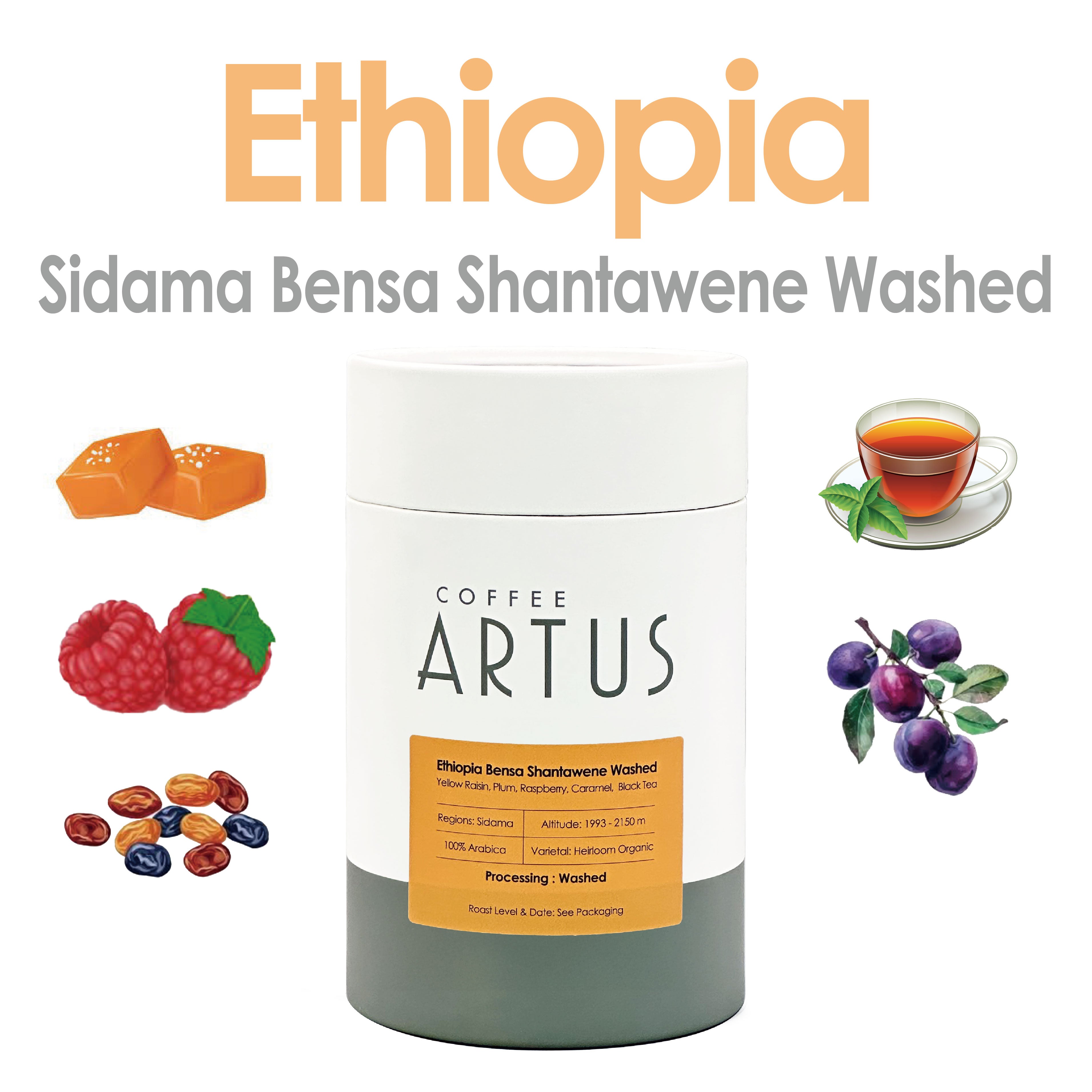 Ethiopia | Sidama Bensa Shantawene | Heirloom | Washed – Coffee Artus